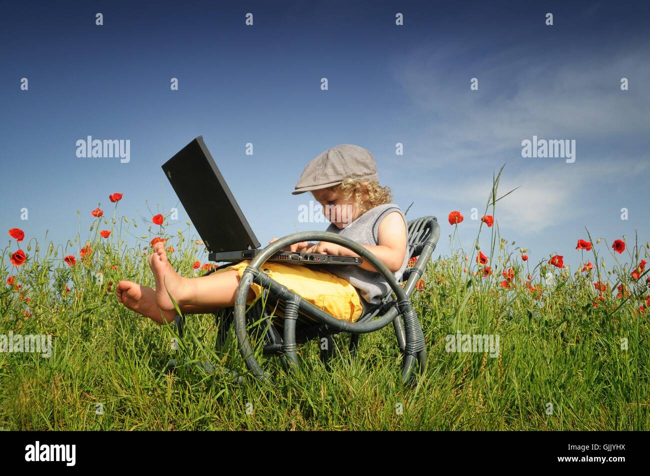 field summer summerly Stock Photo - Alamy