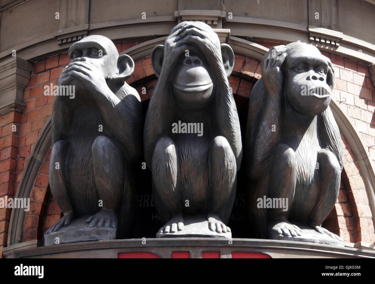 monkey look glancing Stock Photo - Alamy