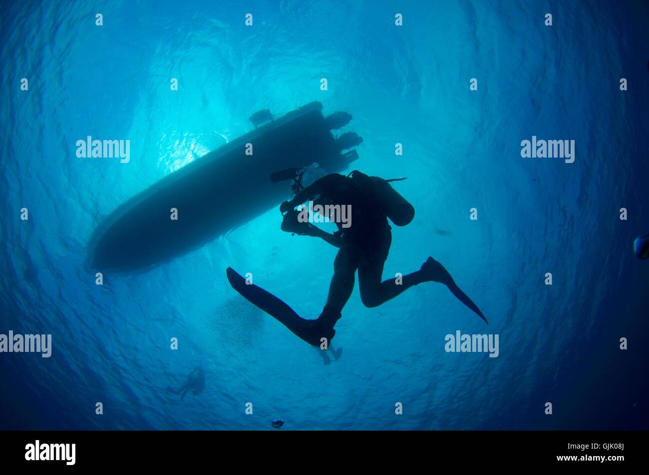 blue outlines dive Stock Photo - Alamy