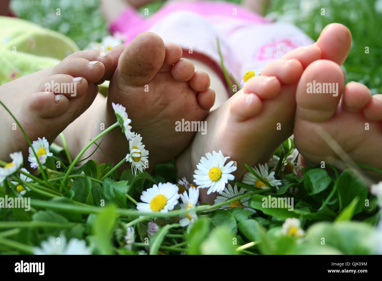 Four toes each foot hi-res stock photography and images - Alamy