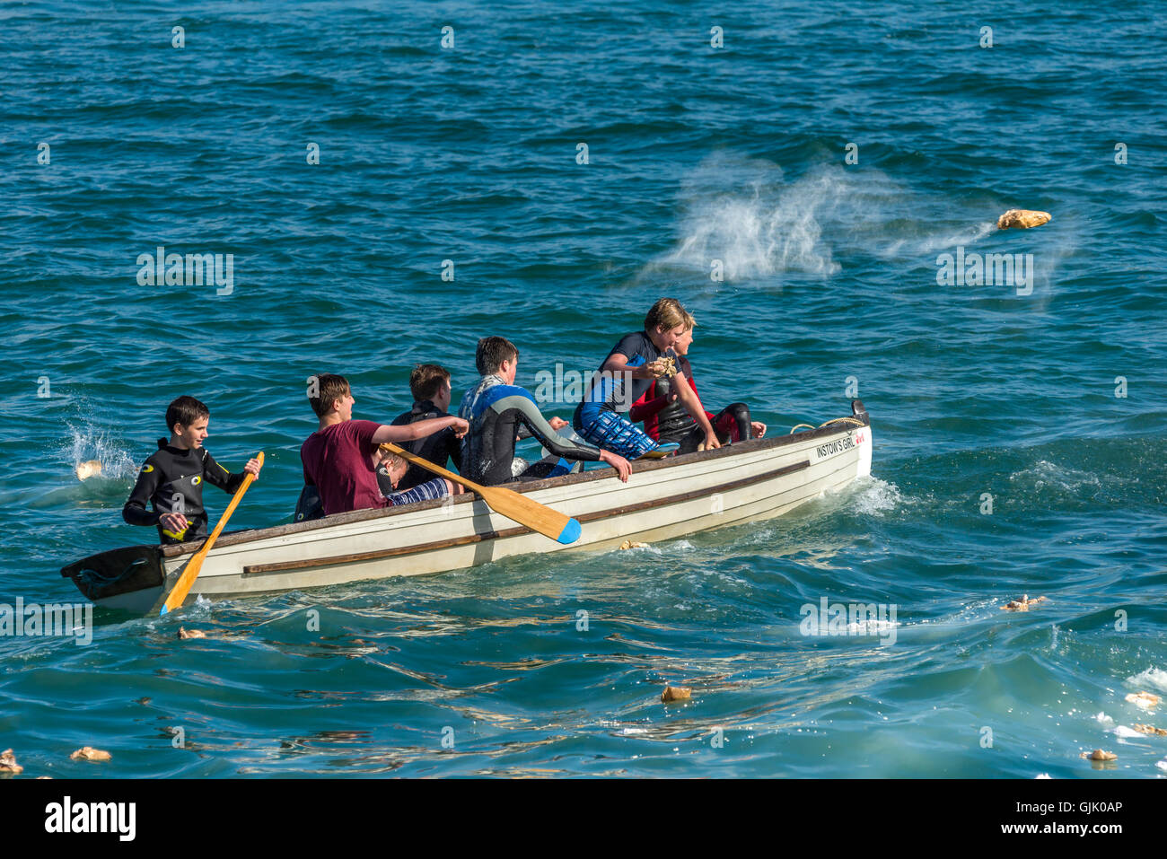 Appledore Regatta High Resolution Stock Photography and Images - Alamy