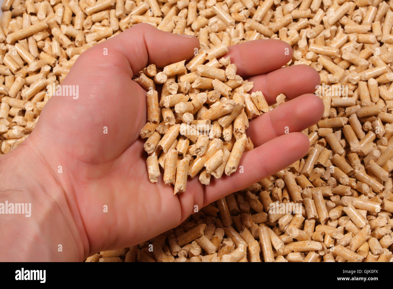 wood energy power Stock Photo - Alamy