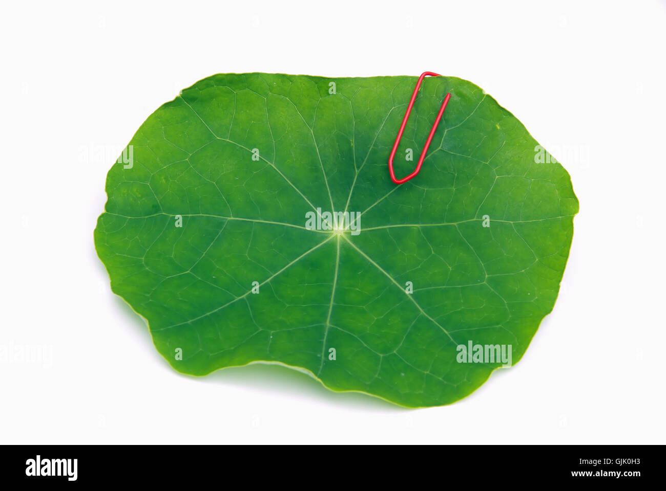 office note memo Stock Photo - Alamy