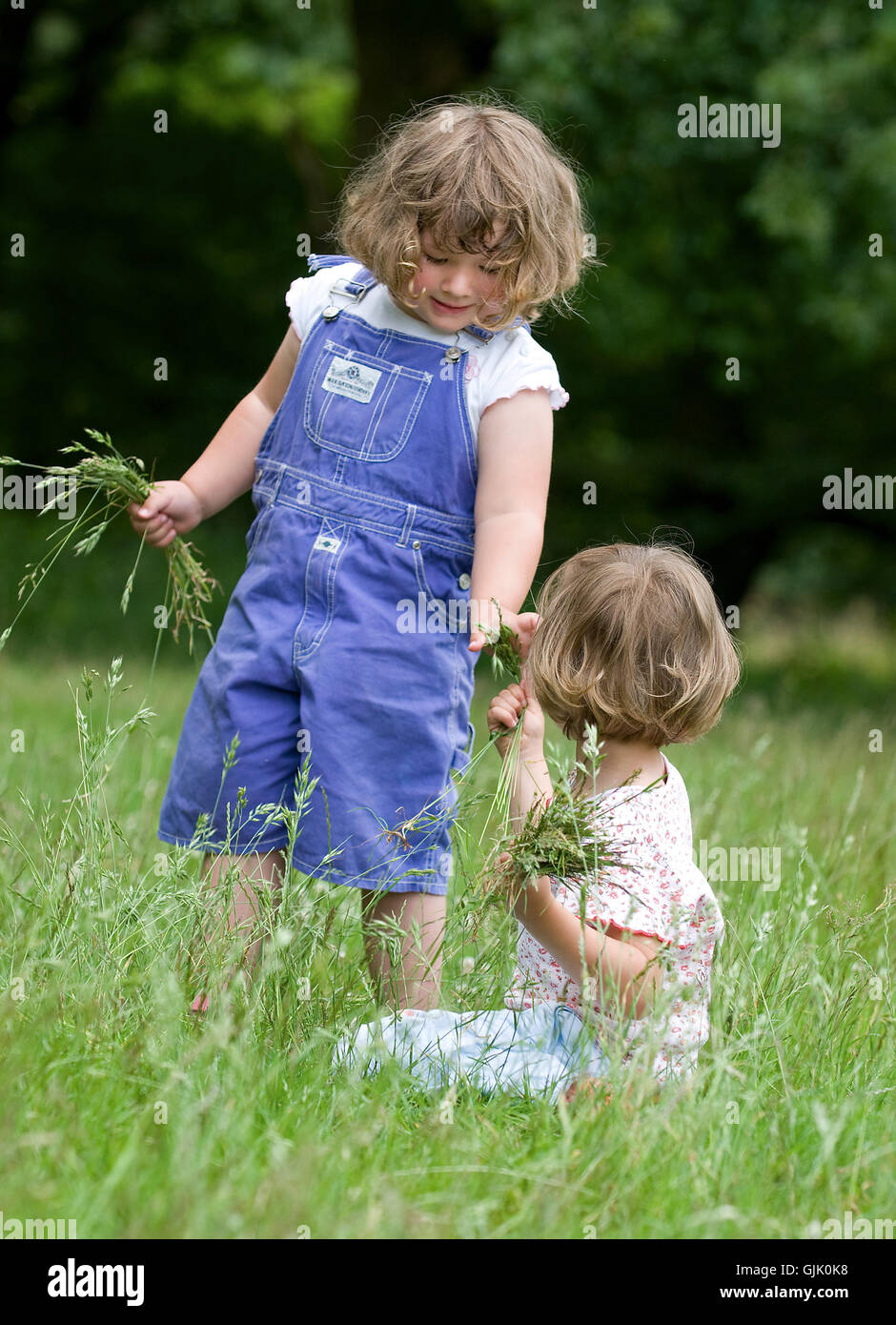 pick flower flowers Stock Photo - Alamy