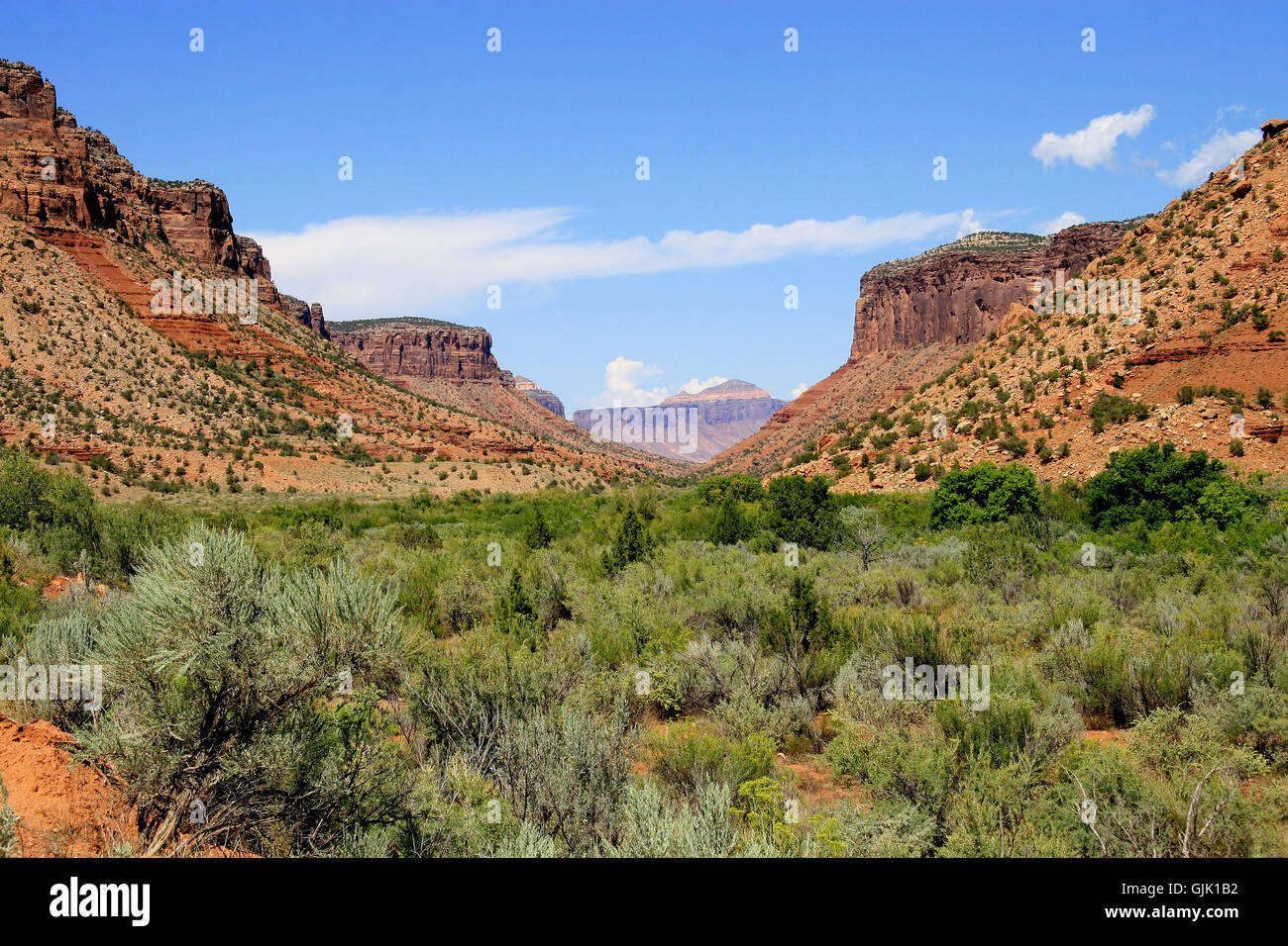 Ruddiness hi-res stock photography and images - Alamy