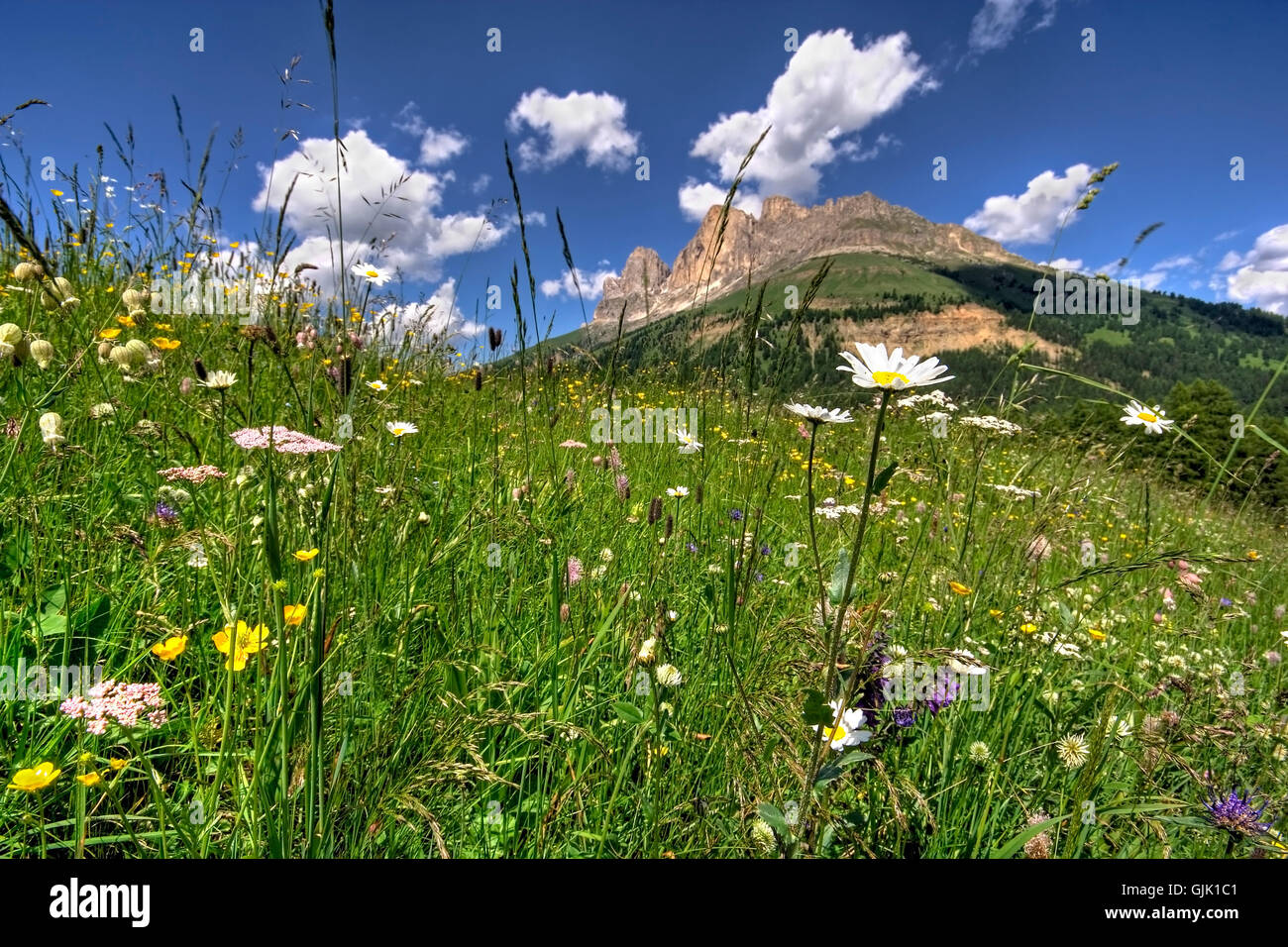 south tyrol summer summerly Stock Photo - Alamy
