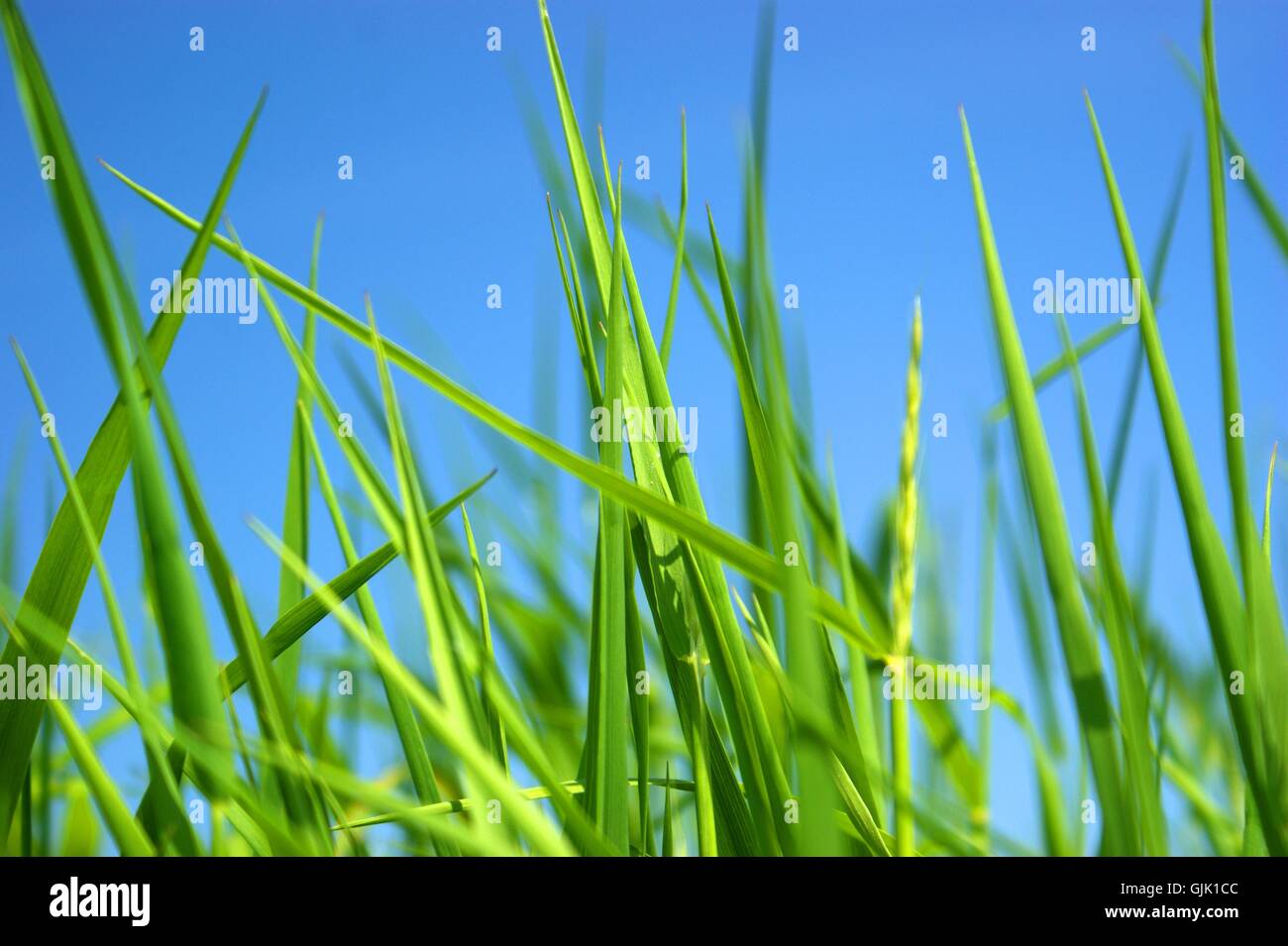 Persepktive hi-res stock photography and images - Alamy