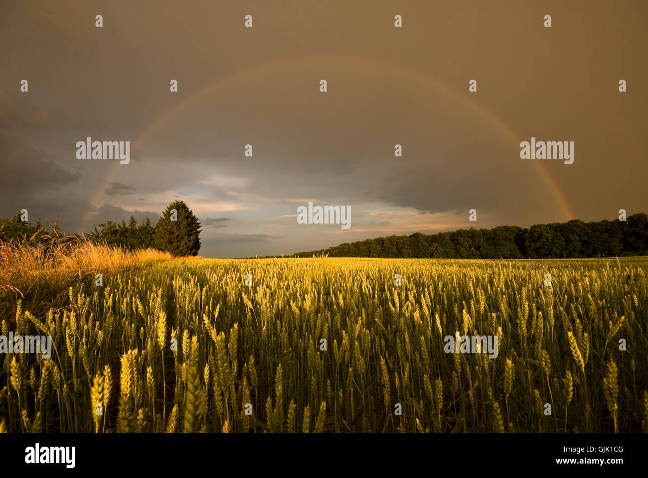 Sun after rain hi-res stock photography and images - Alamy