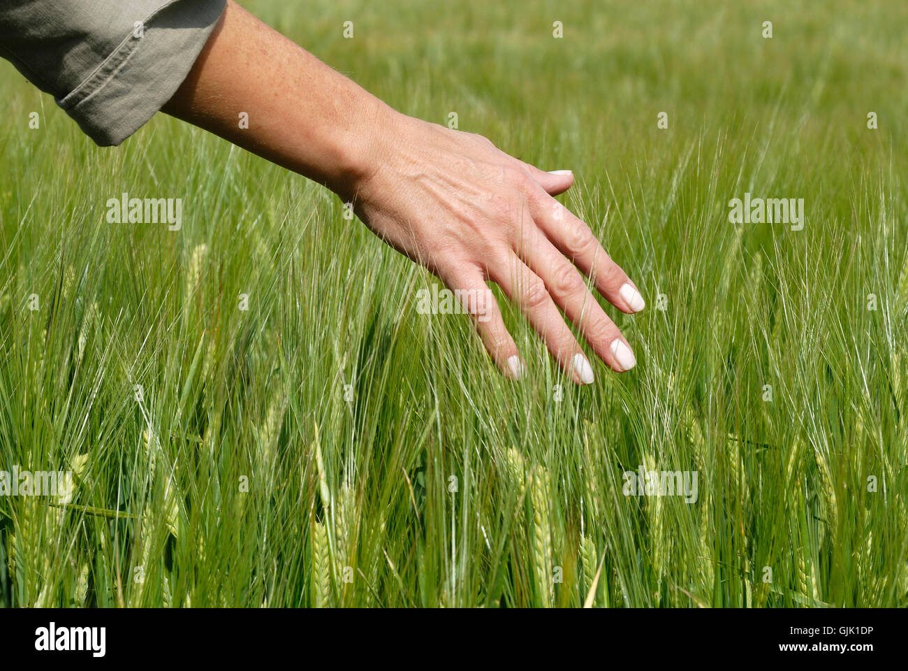 Bucolic hi-res stock photography and images - Alamy