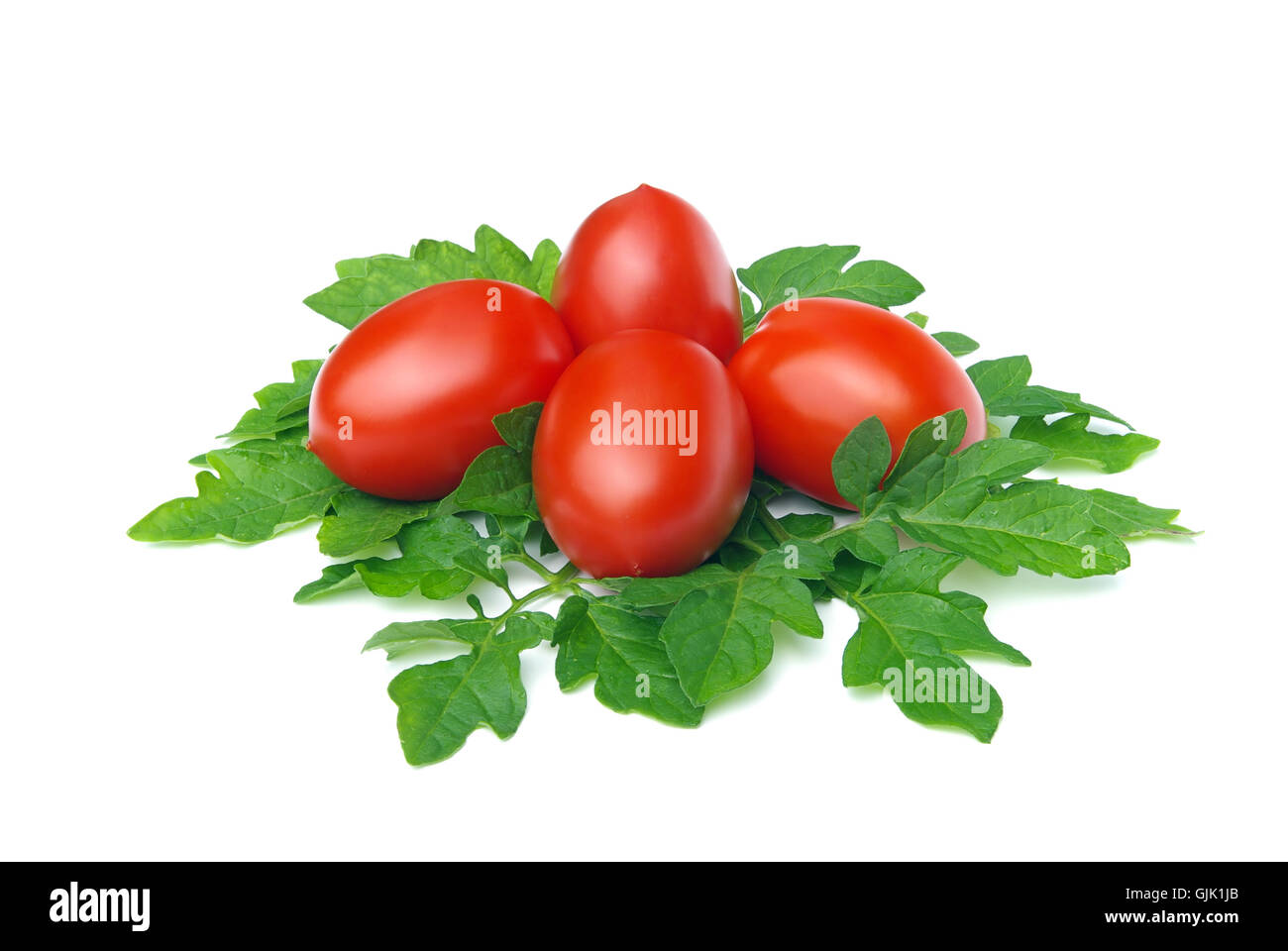 optional green blank Stock Photo - Alamy