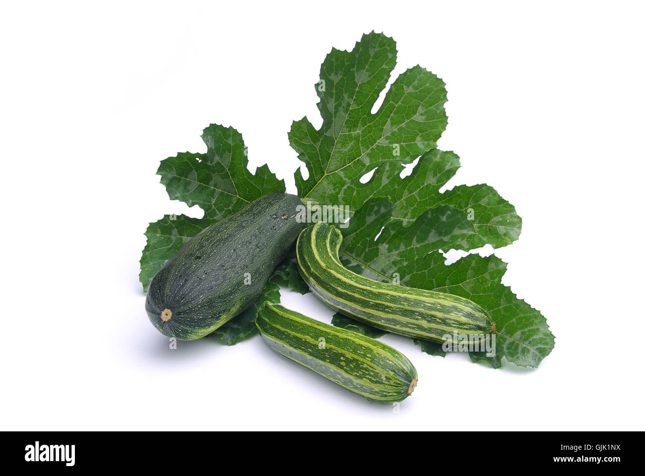 zucchini - courgette 08 Stock Photo - Alamy
