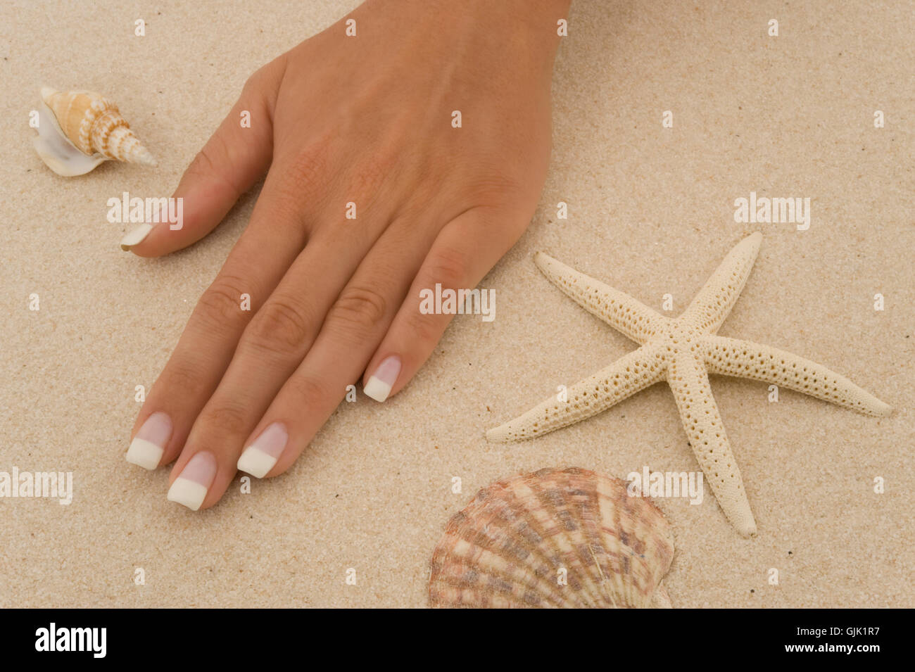Shell finger hi-res stock photography and images - Alamy