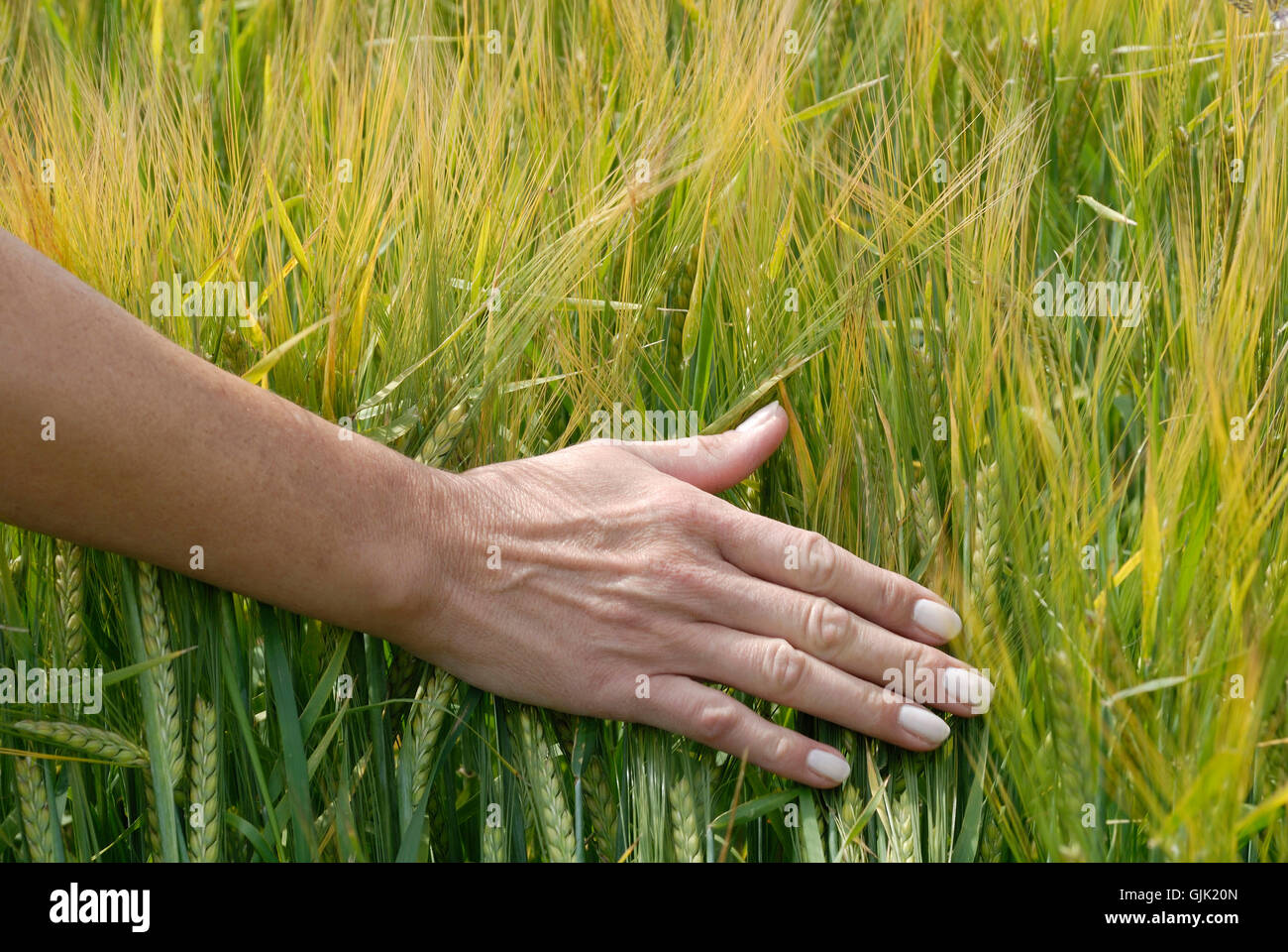 Farming hand hi-res stock photography and images - Alamy