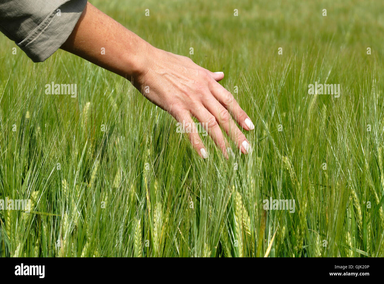 Farming hand hi-res stock photography and images - Alamy