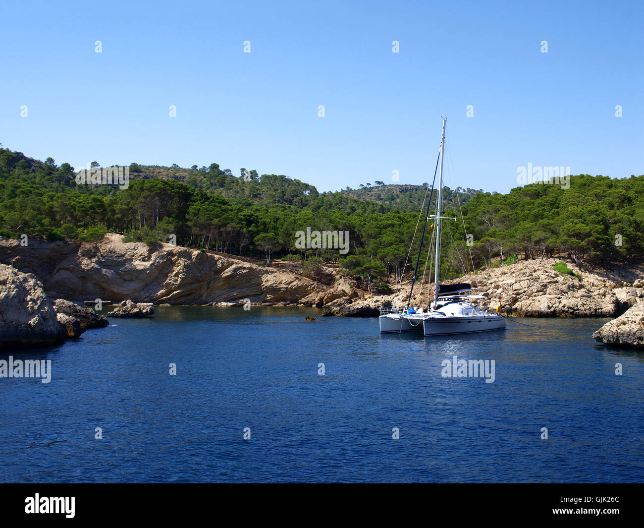 Rumpfe hi-res stock photography and images - Alamy