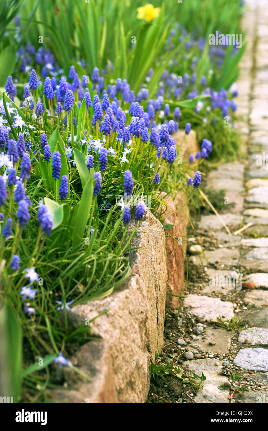 blue park garden Stock Photo - Alamy
