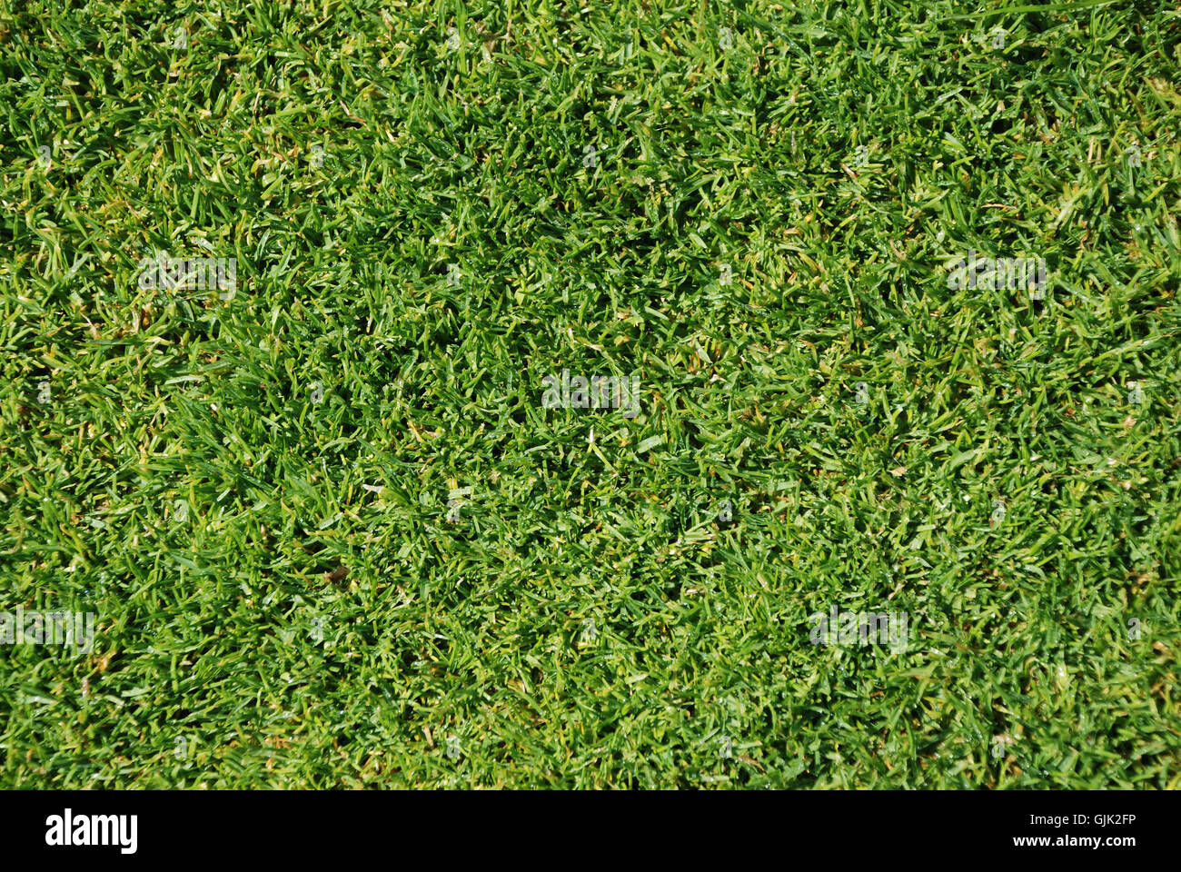 green kept lawn Stock Photo - Alamy