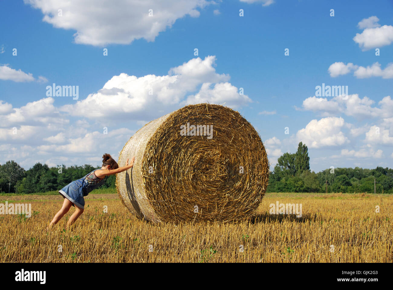 Field and hay hi-res stock photography and images - Alamy