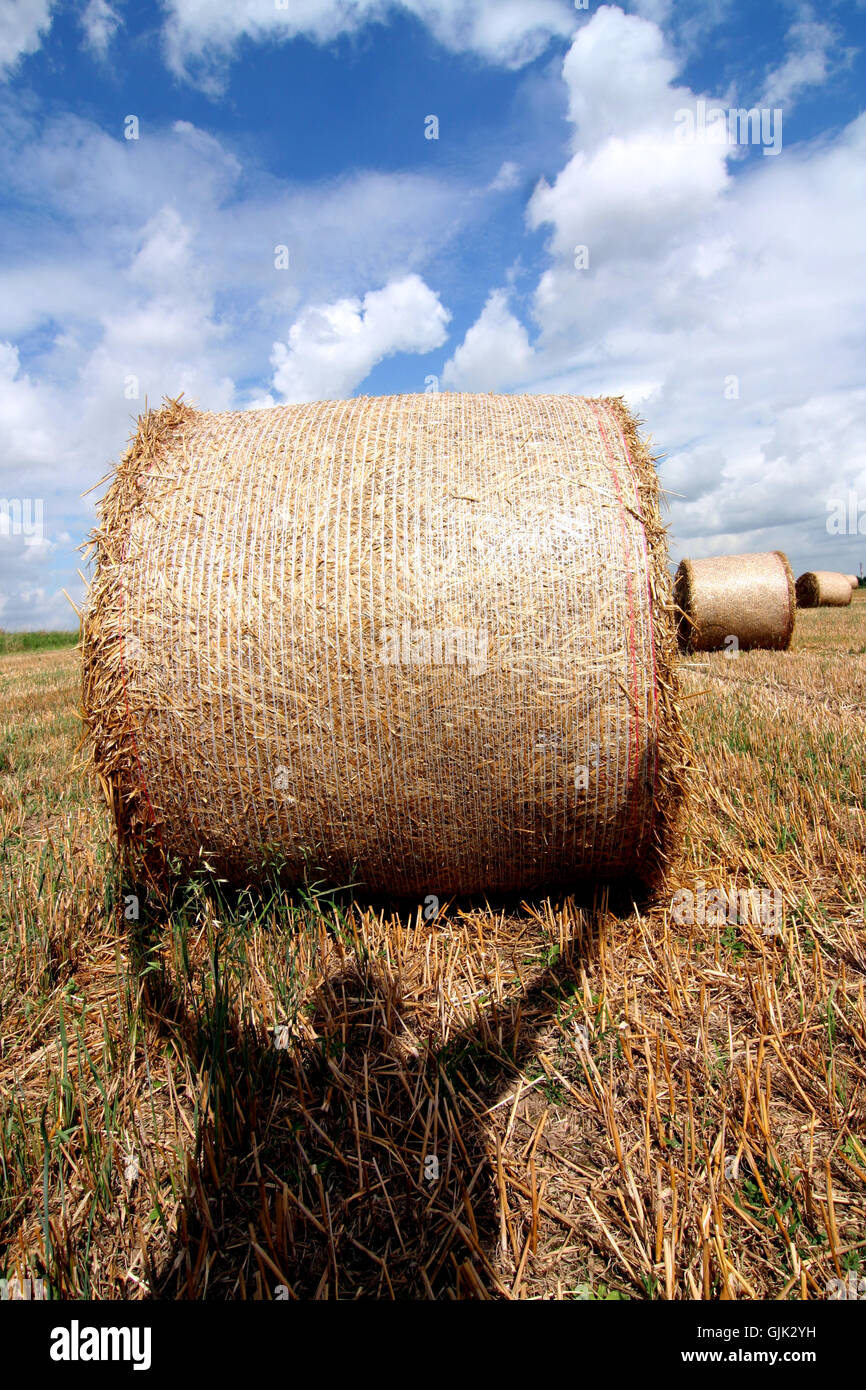 Harvest Straw Ball High Resolution Stock Photography and Images - Alamy