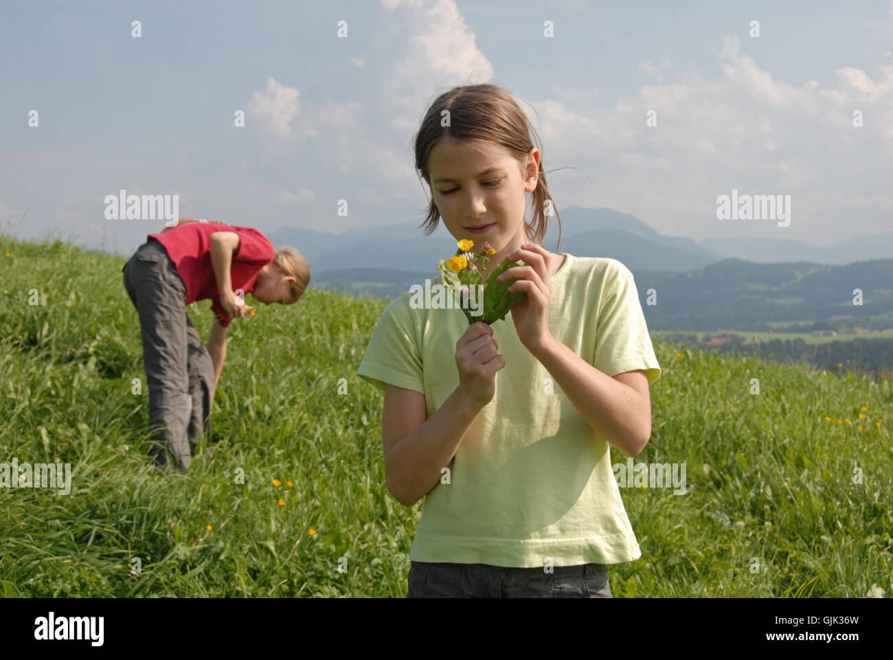 pick flower flowers Stock Photo - Alamy