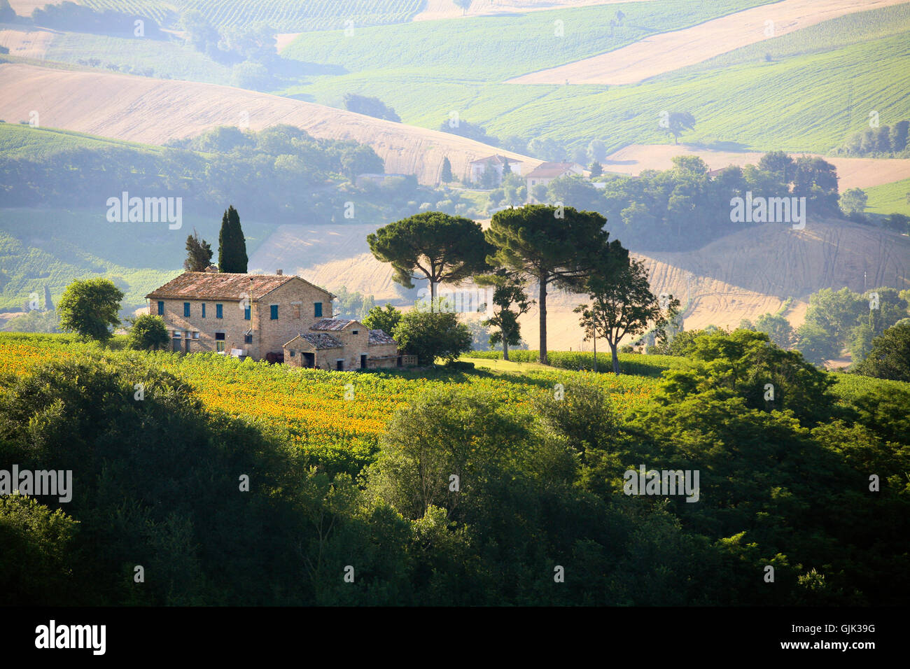 house building beautiful Stock Photo - Alamy
