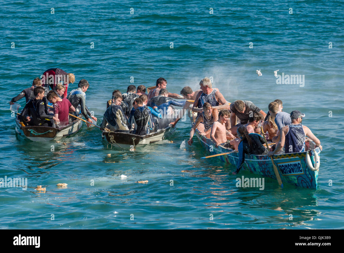 Appledore regatta hi-res stock photography and images - Alamy