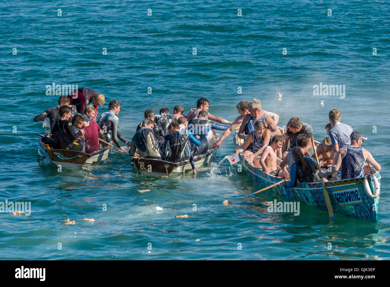 Appledore Regatta High Resolution Stock Photography and Images - Alamy