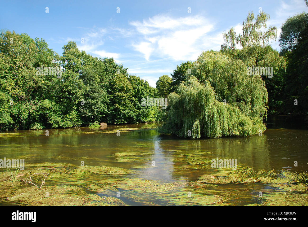 Browse High Resolution Stock Photography and Images - Alamy