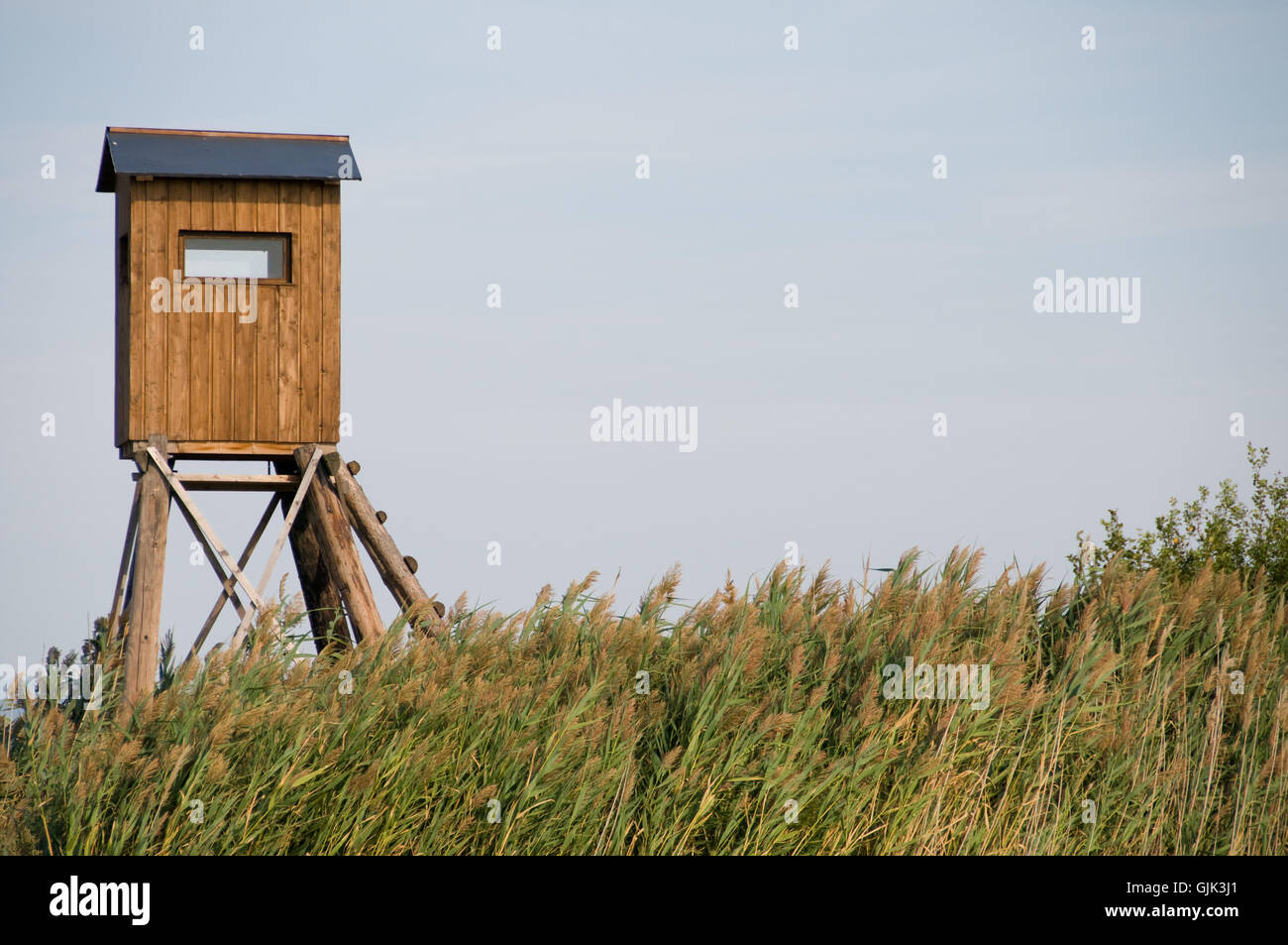 Reed tower hi-res stock photography and images - Alamy