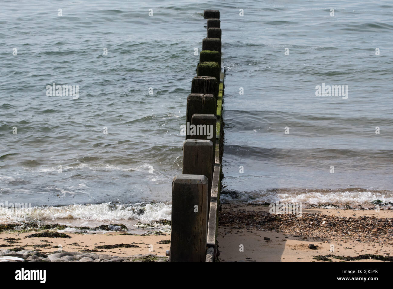 Wooden beach protection Stock Photo - Alamy