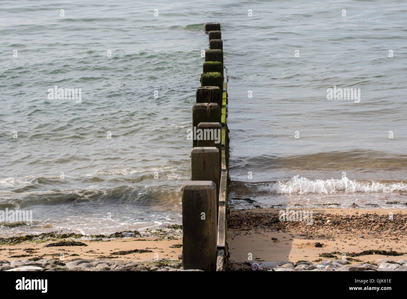 Wooden beach protection Stock Photo - Alamy