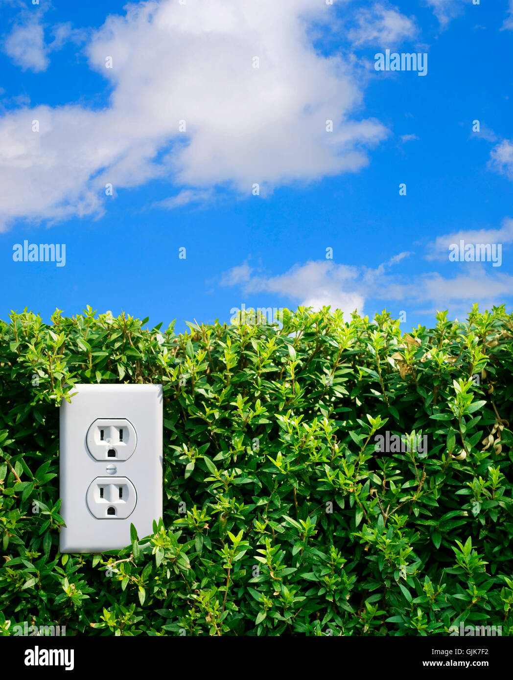 Power outlet on a green hedge. Going green Stock Photo - Alamy