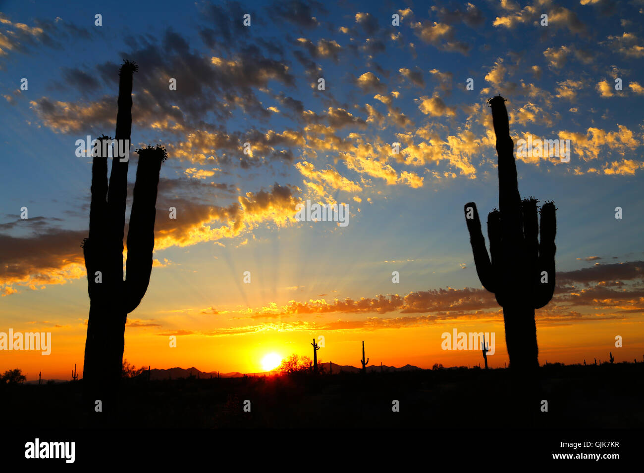 Sonoran desert nation monument hi-res stock photography and images - Alamy