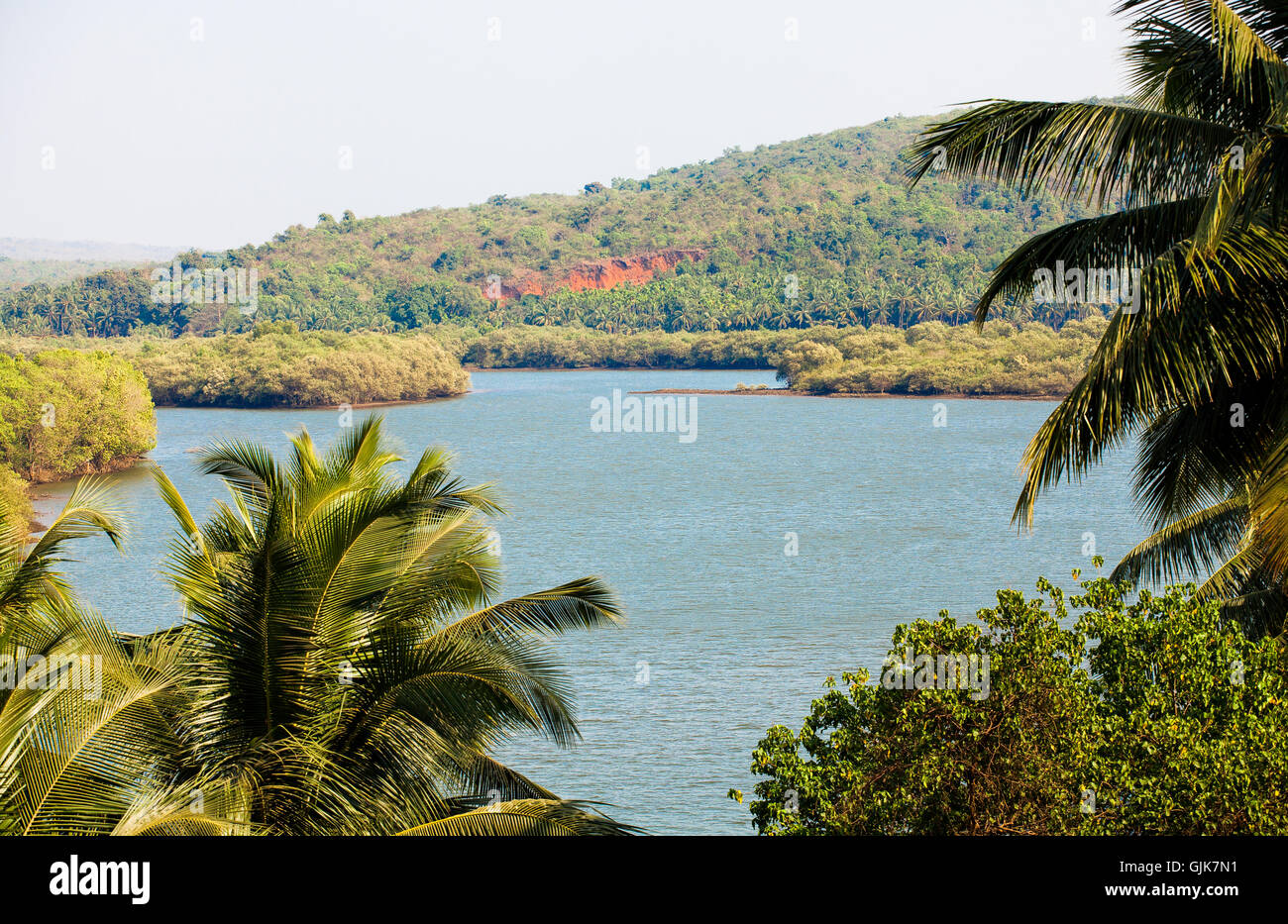 goa terekhol river landscape Stock Photo - Alamy