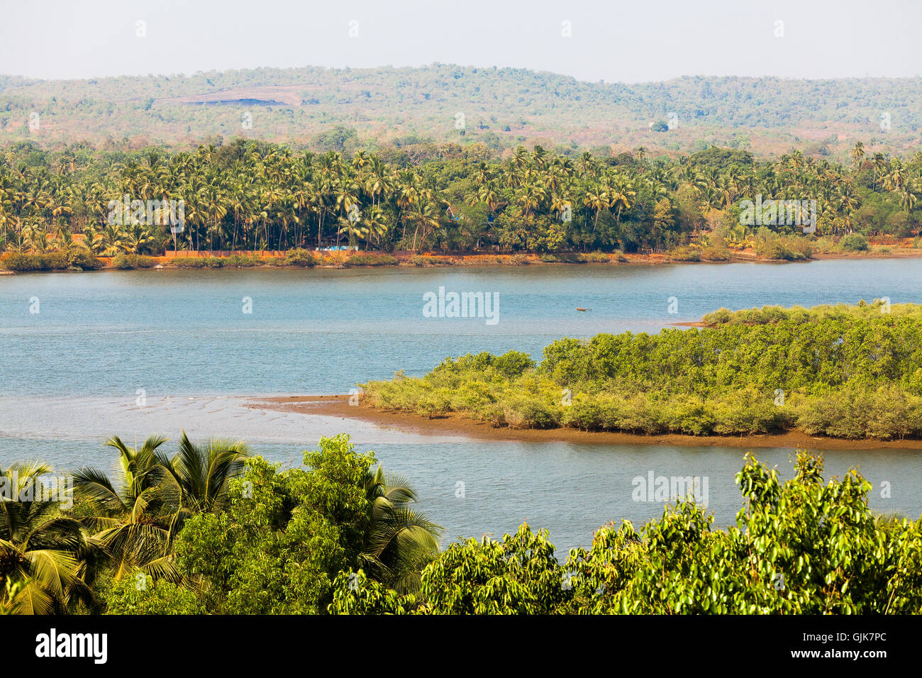 goa terekhol river landscape Stock Photo - Alamy