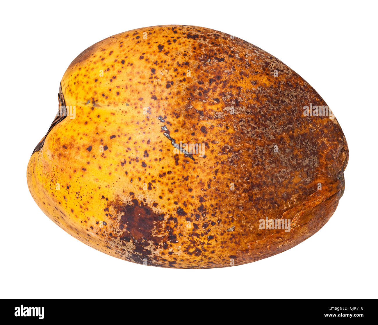 Coconut hi-res stock photography and images - Alamy
