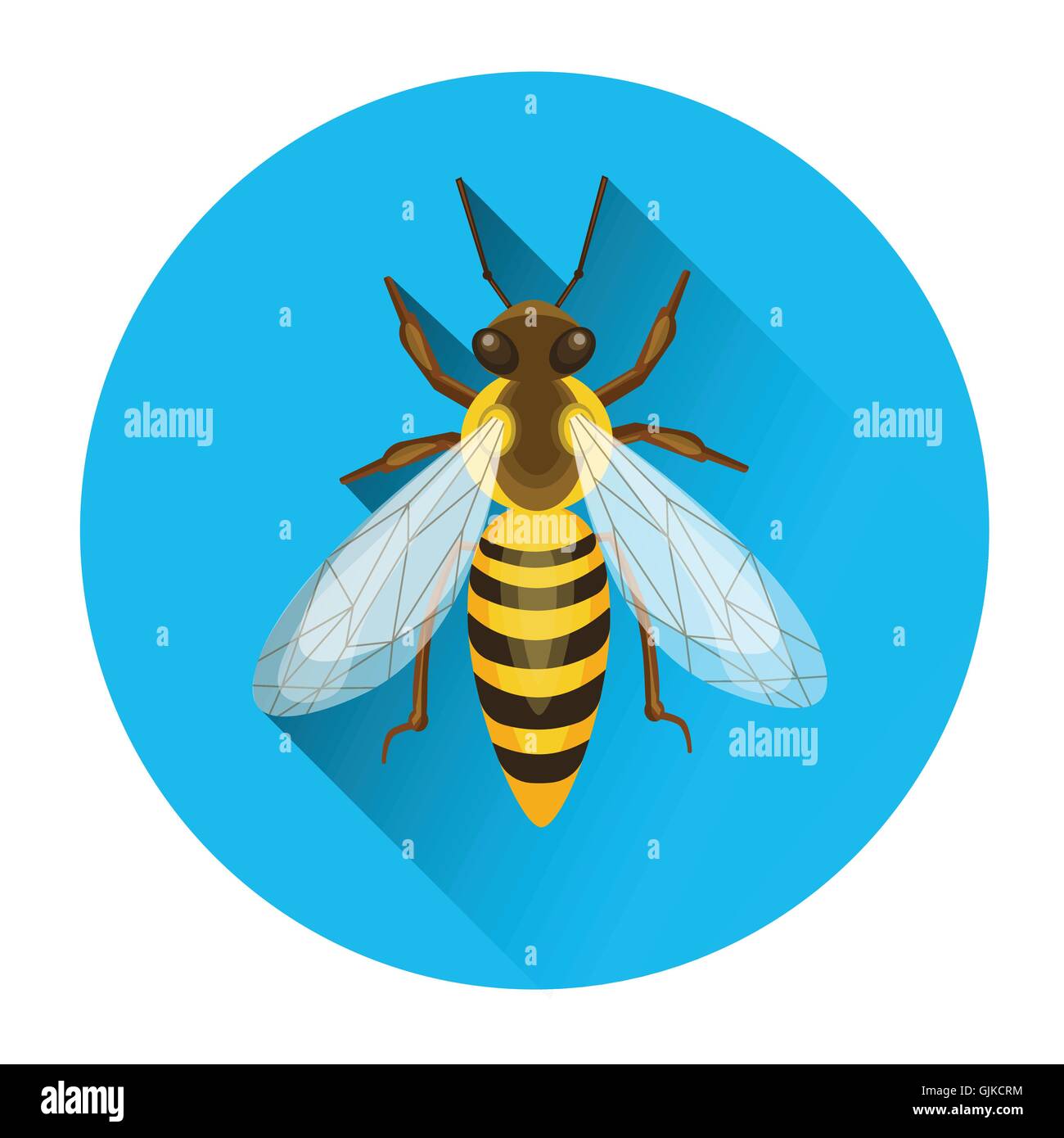 Honey bee farming beekeeper Stock Vector Images - Alamy