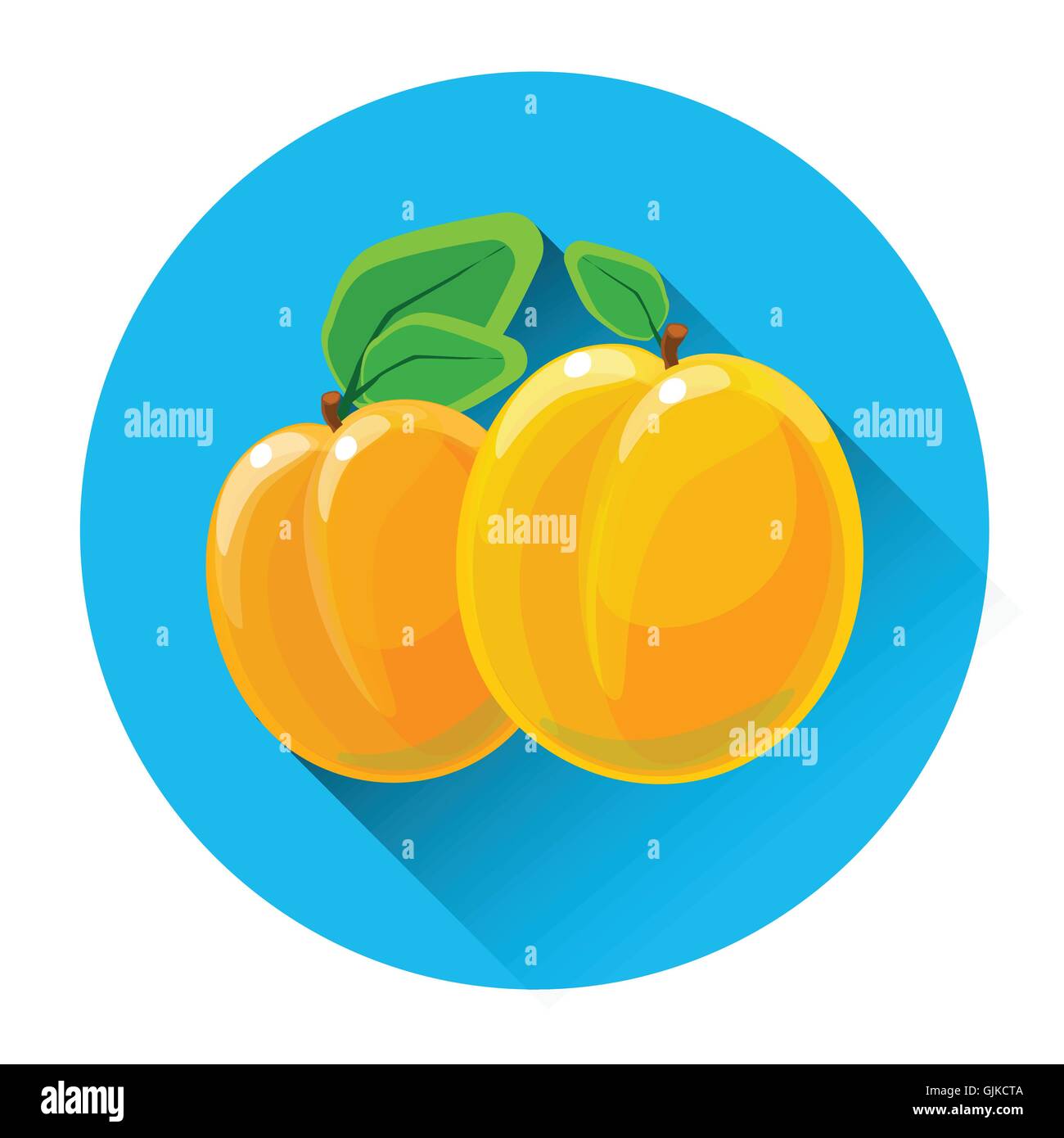 Apricot Colorful Fruit Icon Stock Vector Image & Art - Alamy