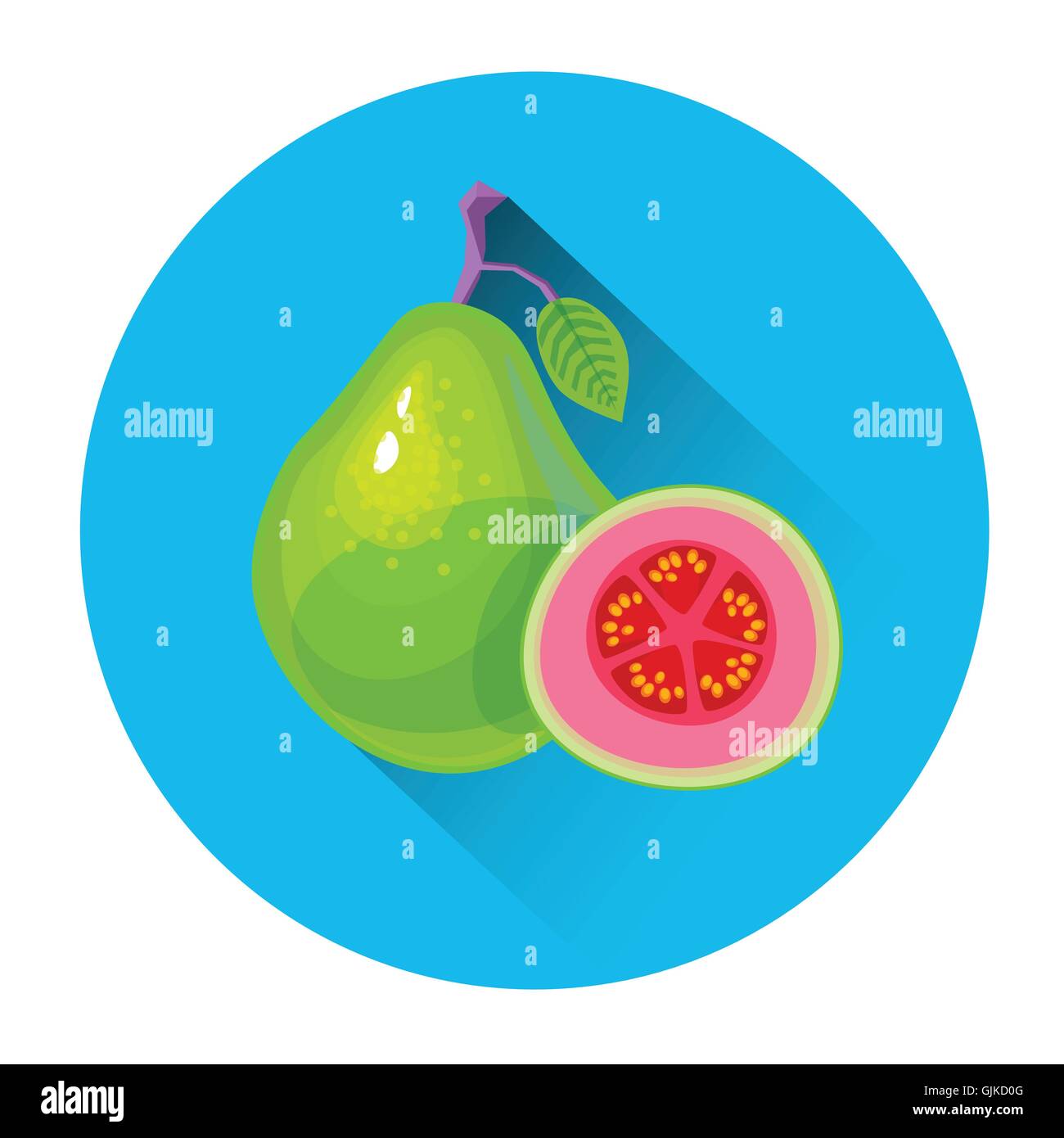 Guava Colorful Fruit Icon Stock Vector Image & Art - Alamy