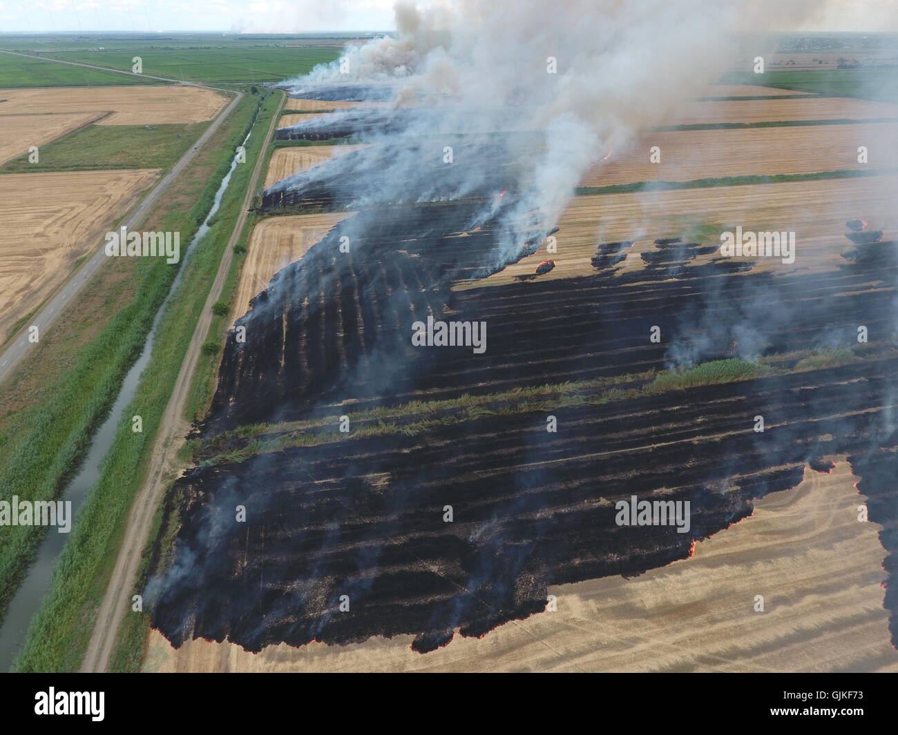 Burning straw in the fields after harvesting wheat crop Stock Photo - Alamy