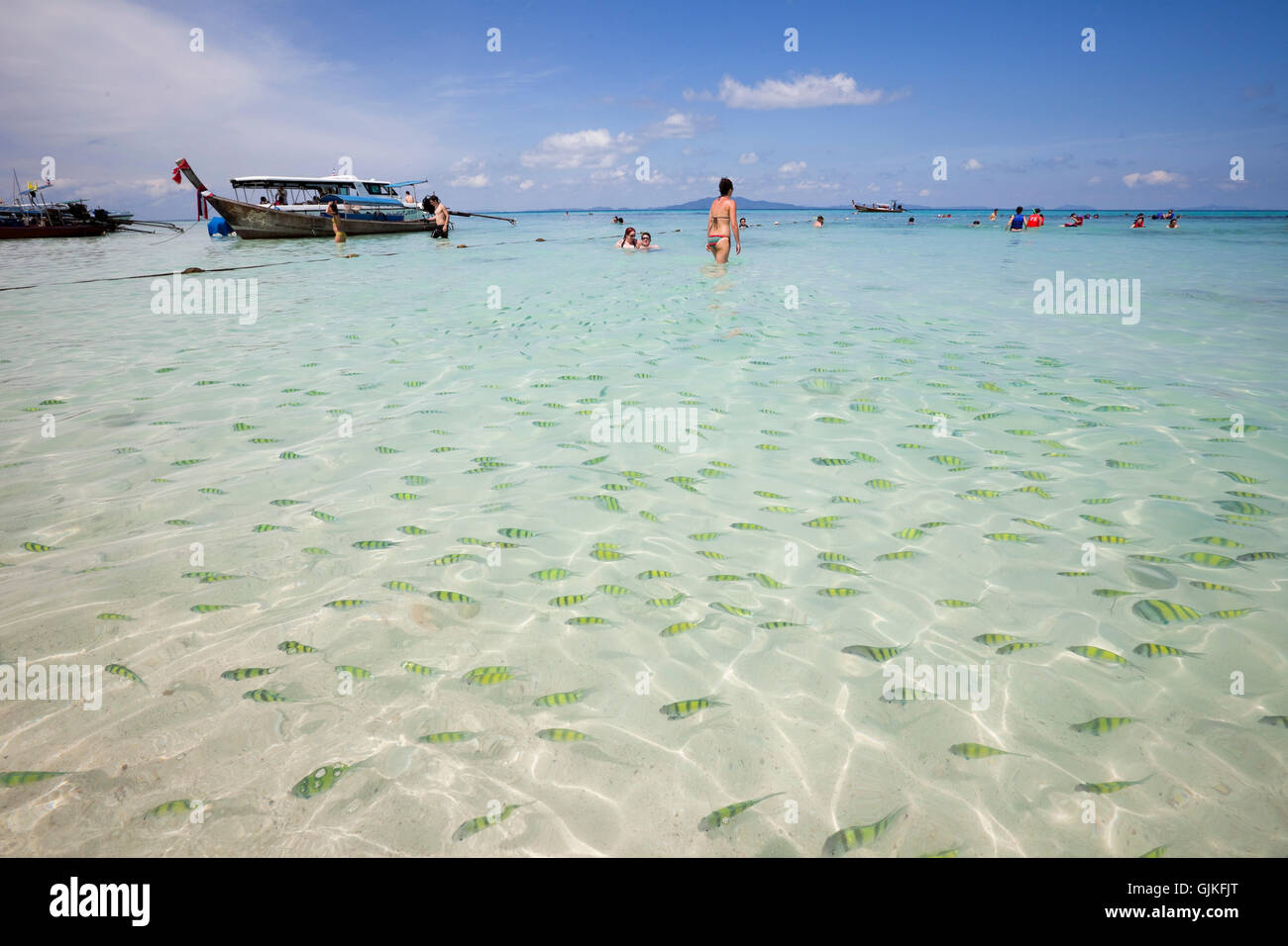 Maya Beach and Bamboo Island Stock Photo - Alamy