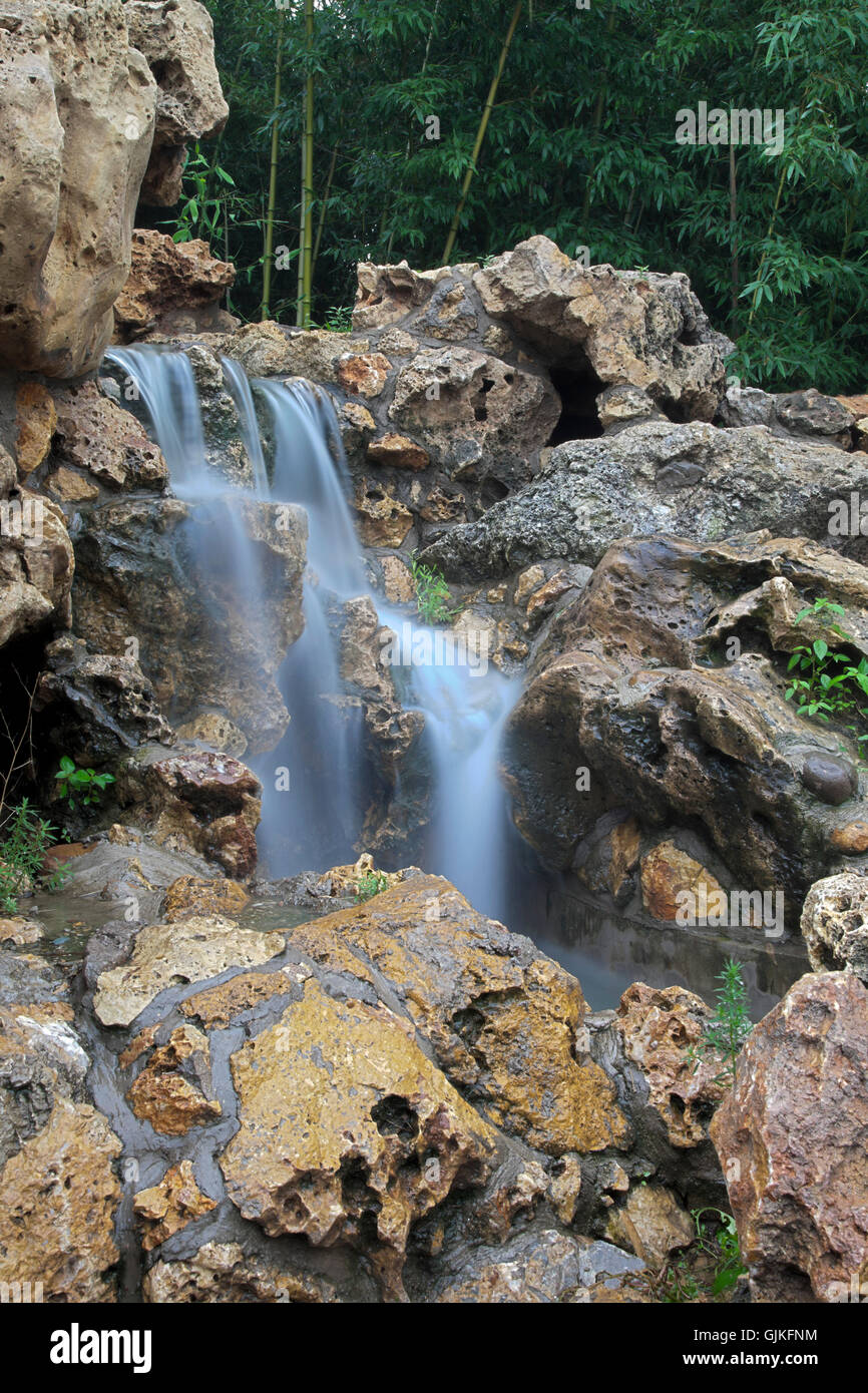 Haidian District, Beijing Purple Bamboo Park Stock Photo - Alamy