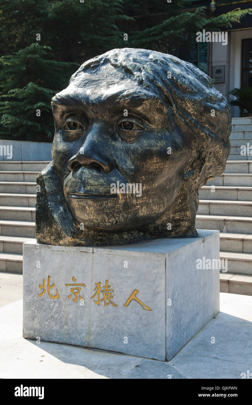 Beijing ape man hi-res stock photography and images - Alamy
