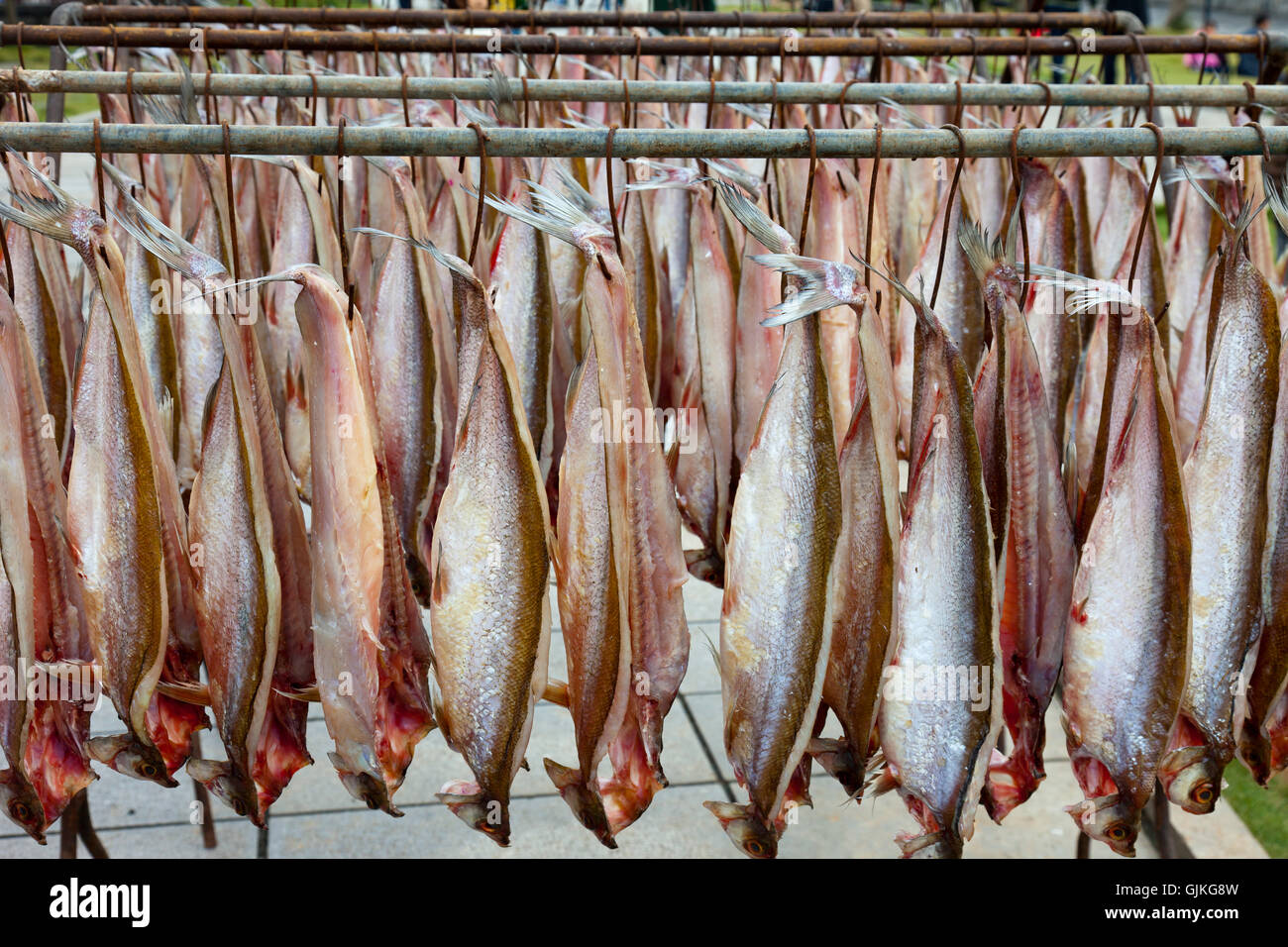 Hunan Yueyang Dongting Lake fish Stock Photo - Alamy