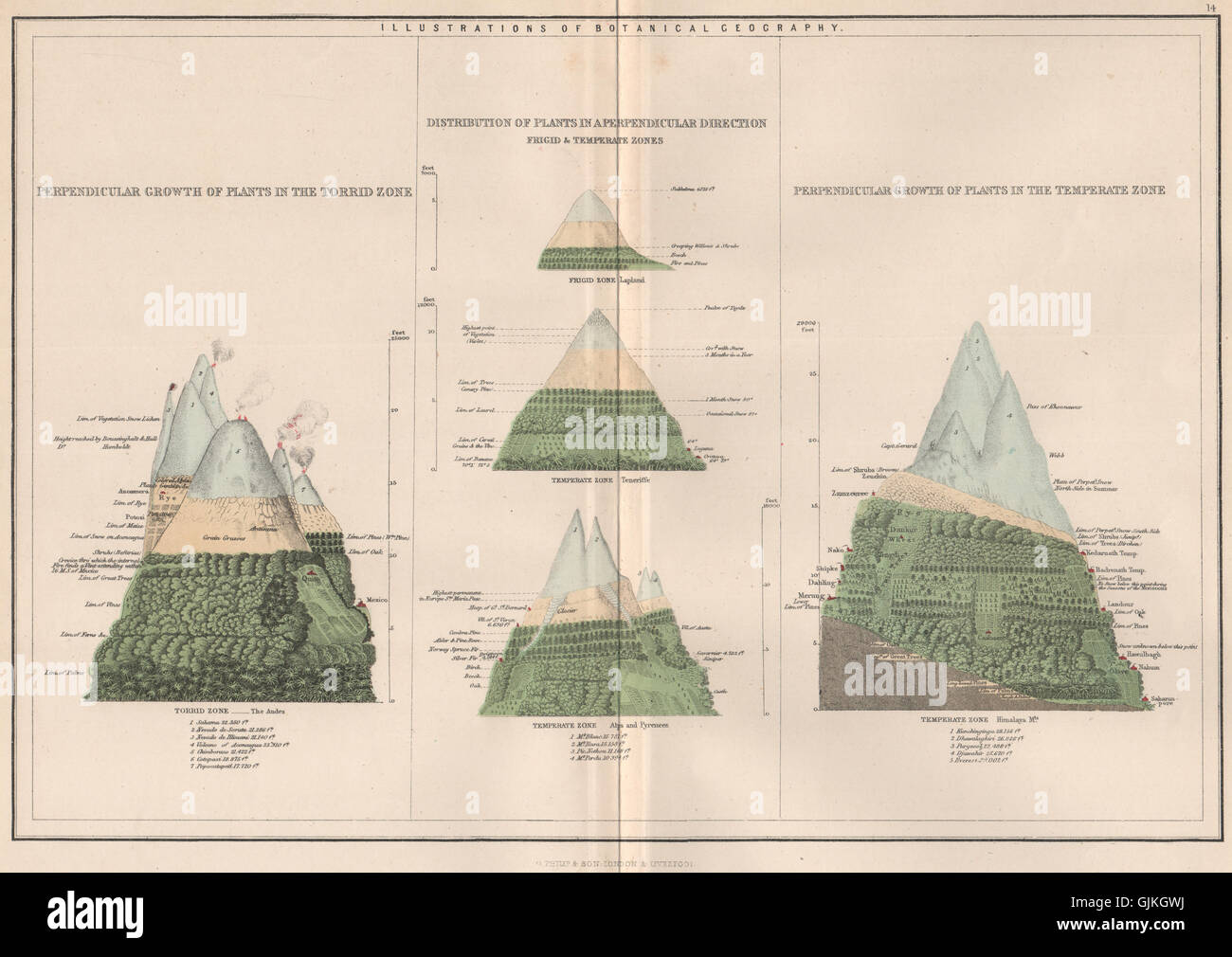 Torrid zone hi-res stock photography and images - Alamy