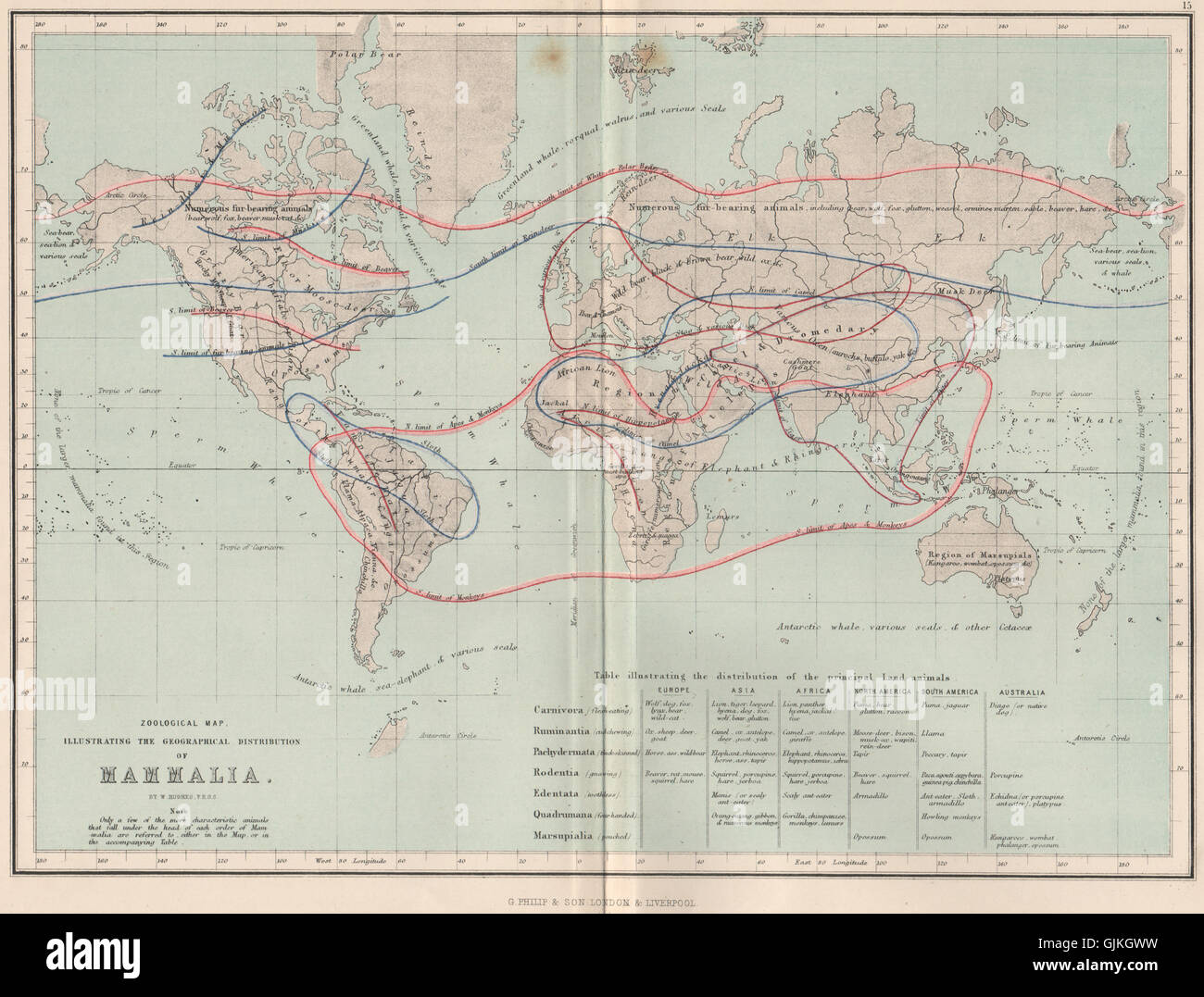 WORLD. Zoological map; Mammalia mammal distribution, 1886 Stock Photo ...
