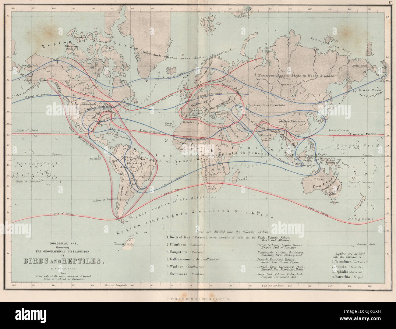 WORLD. Zoological map; Bird & Reptile distribution, 1886 Stock Photo ...