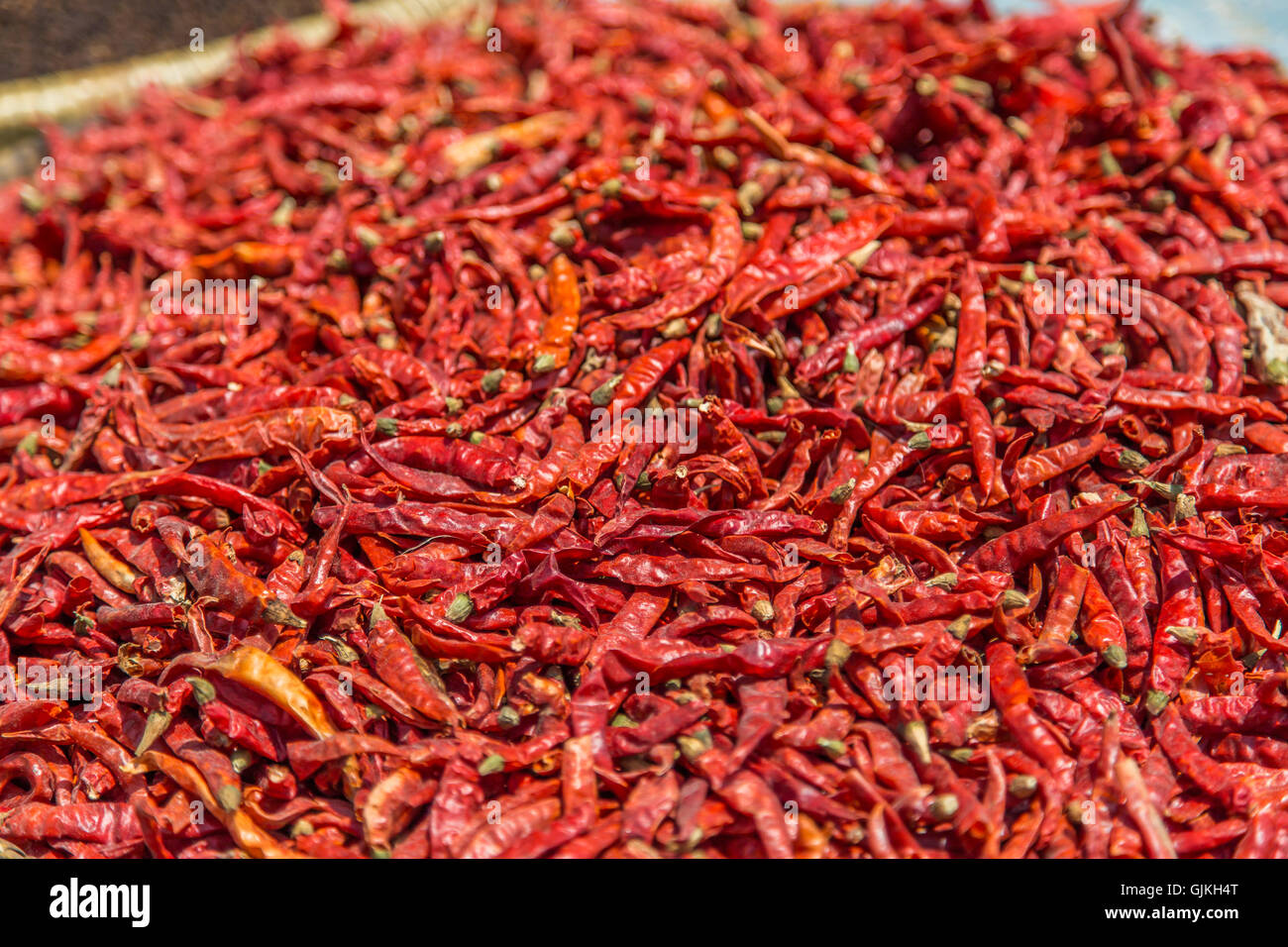 Nepal pepper hi-res stock photography and images - Alamy