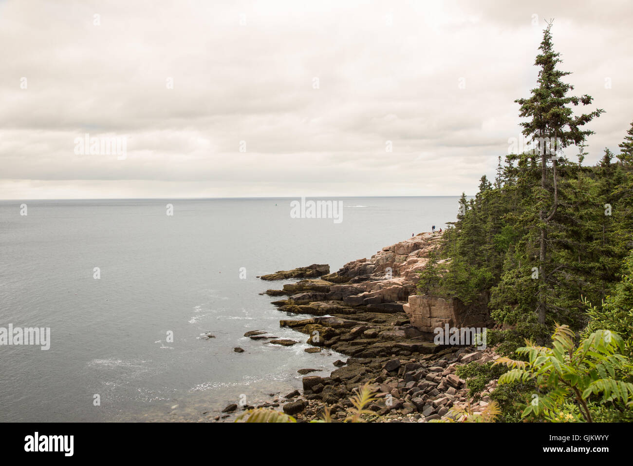 Parque nacional de acadia hi-res stock photography and images - Alamy