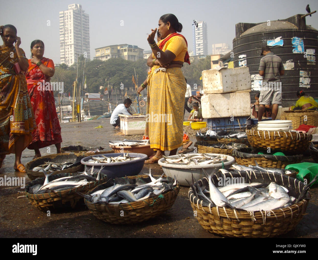 Sassoon Docks High Resolution Stock Photography and Images - Alamy
